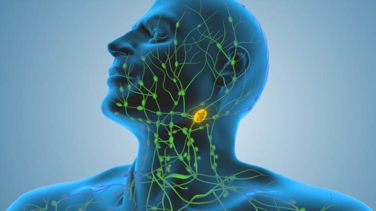 The Role of the Lymphatic System in Acne and Hyperpigmentation ...